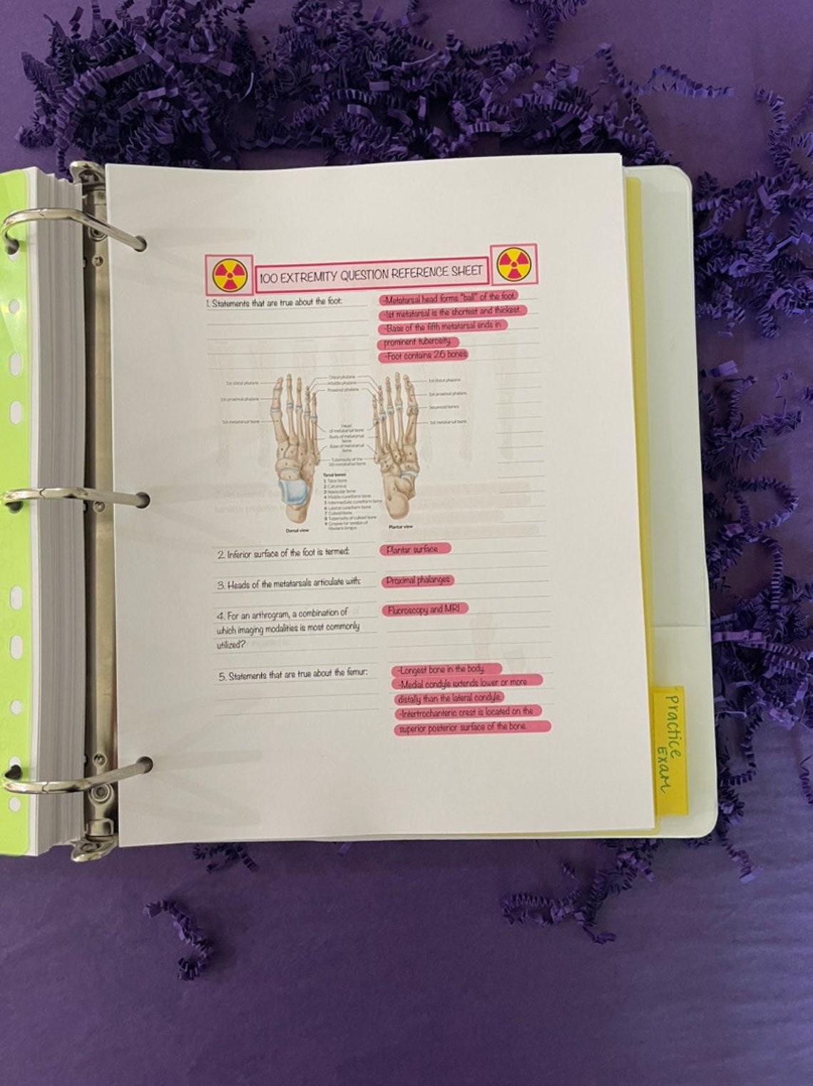 Radiology Technologist Study Guide Binder Complete ARRT - Etsy