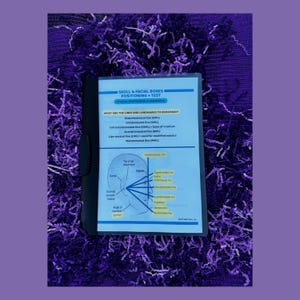 Radiologic Tech Skull Test + Procedure Booklet Bundle With 20 Oz ...