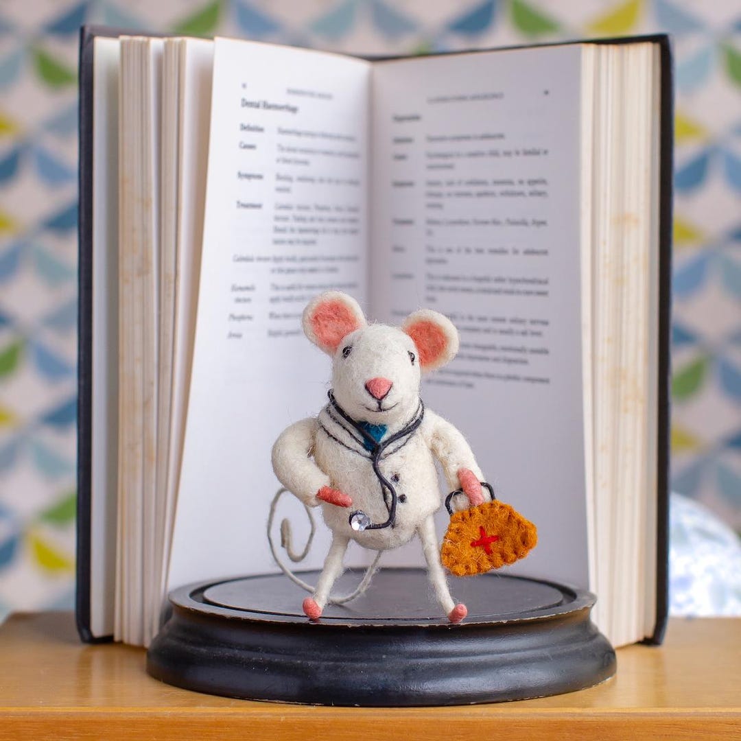 Doctor Mouse - Doctor Gift Idea - Hand Felted Mouse With Stethoscope ...
