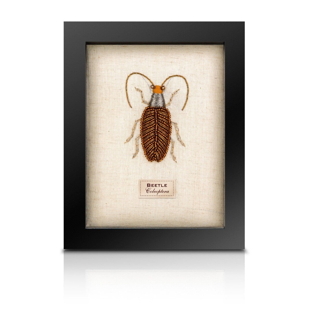 Beaded Feeler Beetle - Beetle Specimen - Wall Art With Beaded Feeler ...