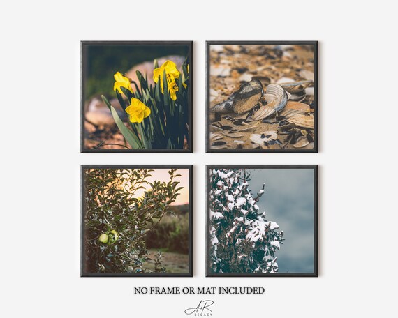 Four Seasons Set Photography Artwork Spring Summer Fall | Etsy