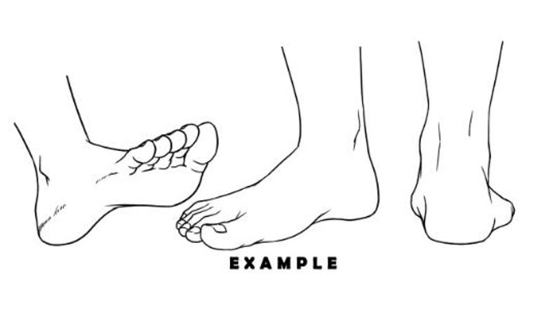 109 Procreate Feet Stamps, Procreate Feet, Feet Stencil, Photoshop Feet ...