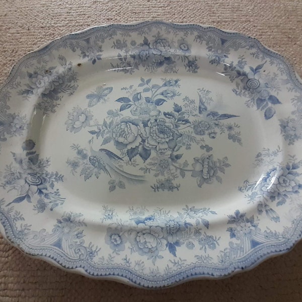 Asiatic Pheasants - Etsy