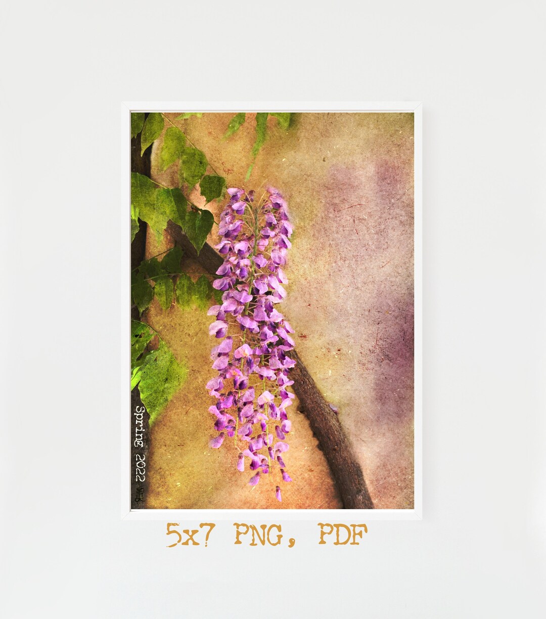 Print Wisteria Printable Digital Print - Etsy
