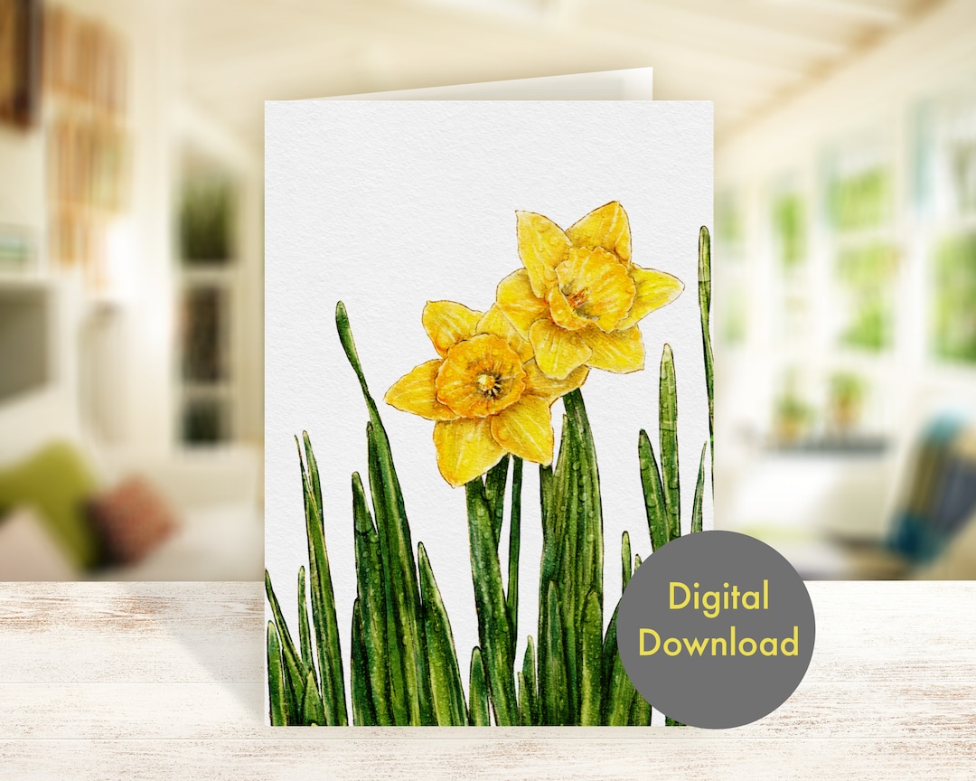 Blank Greeting Card - daffodils - Printable - Digital Card - Etsy