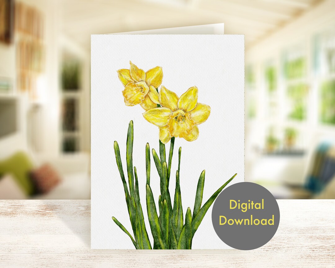 Blank Greeting Card - daffodils - Printable - Digital Card - Etsy