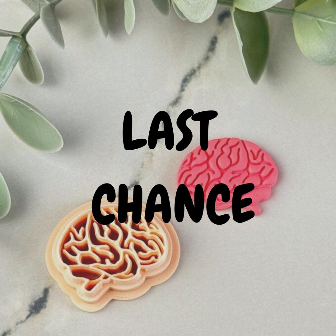 Brain Polymer Clay Cutter - Etsy