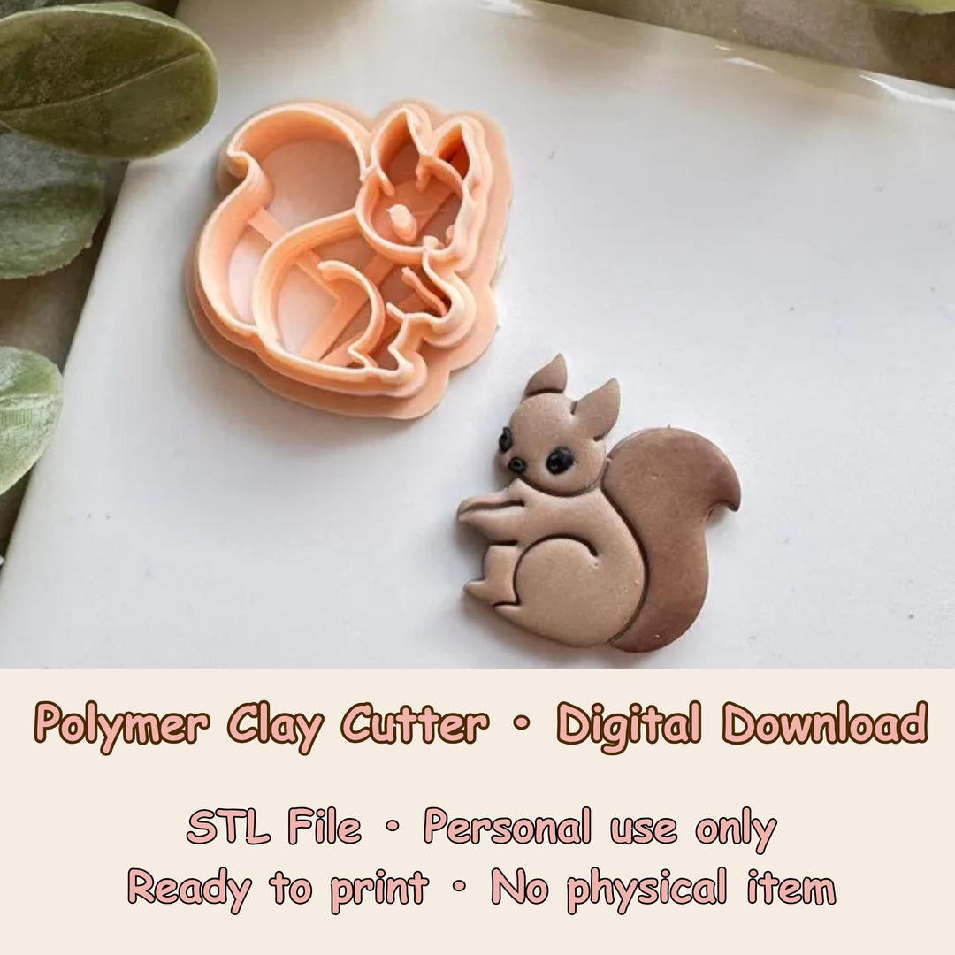 Cute Squirrel STL File Digital Download - Etsy