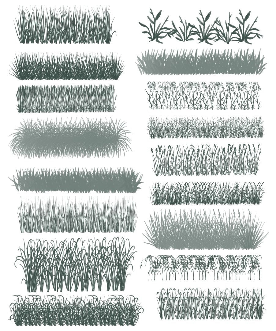50 Grass Brushes for Clip Studio Paint, CSP Brushes, Digital Paint ...