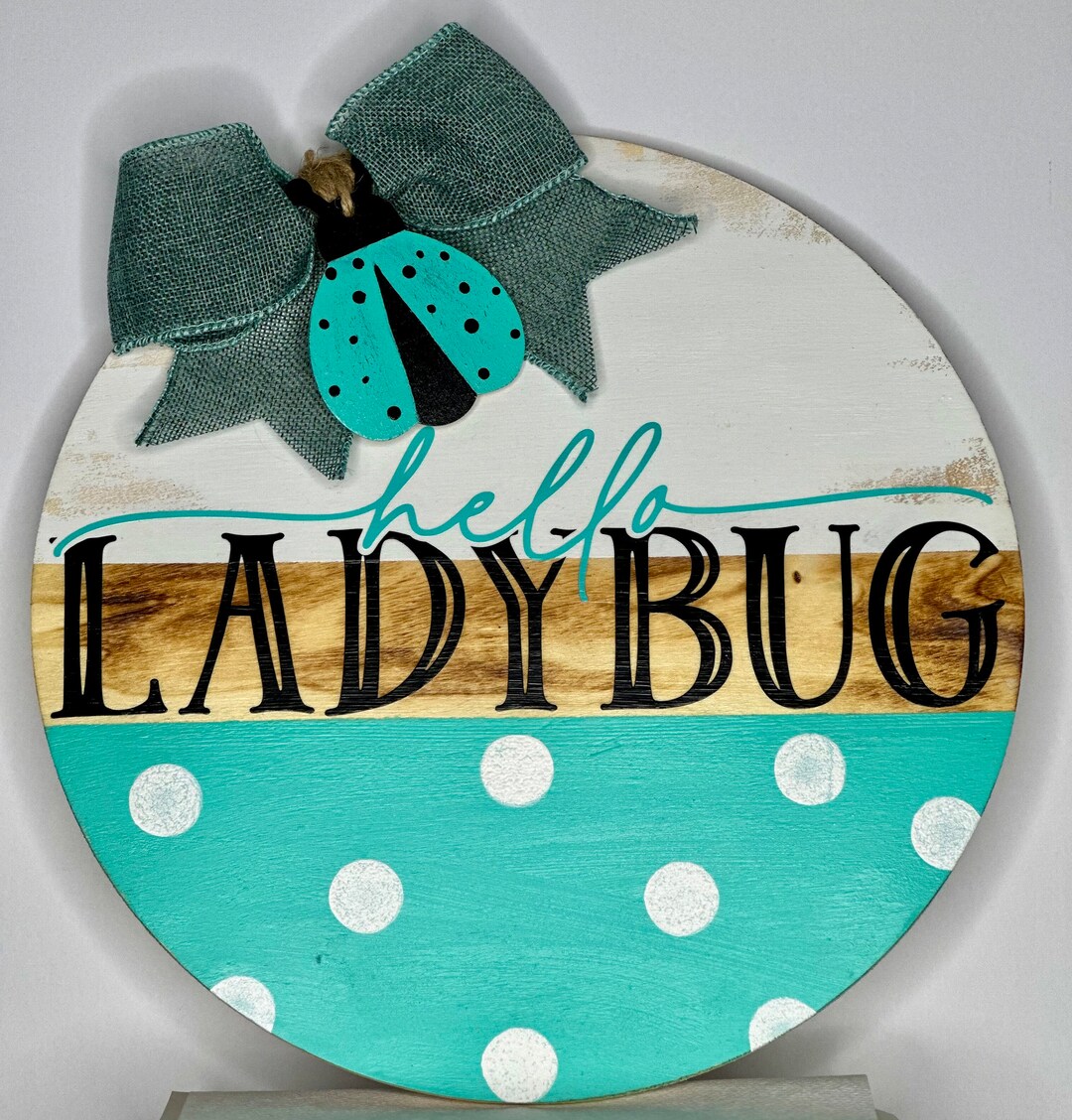 Hello Lady Bug Door Sign - Etsy