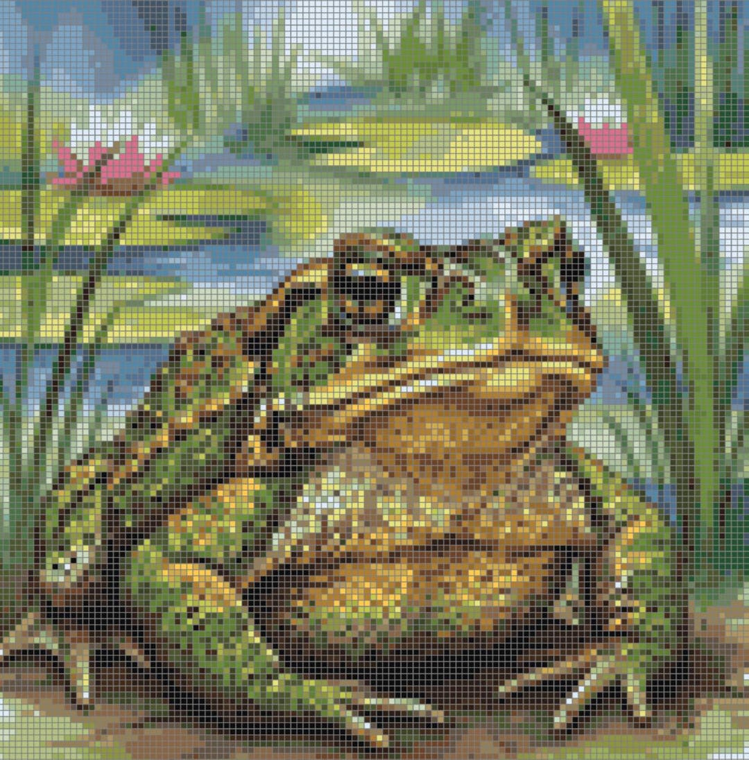 Toad Cross Stitch Pattern Printable PDF - Etsy