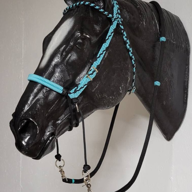 Rope Bridle - Etsy