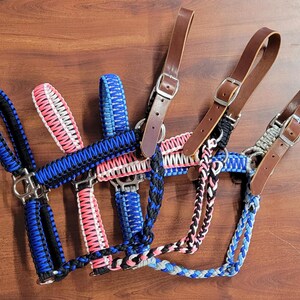 Halter CUSTOM Hybrid Halter Braided Halter Breakaway Halter Leather ...
