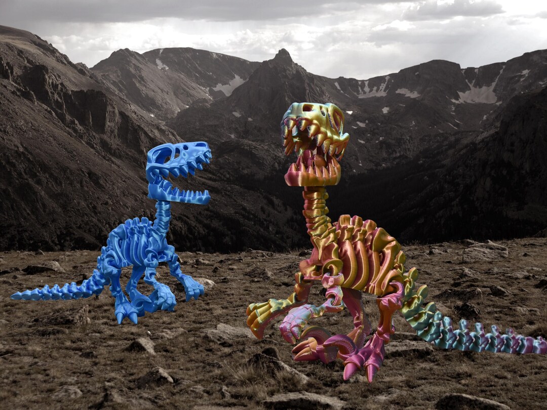 Raptor Skeleton 3d Printed Dino Toy, Articulated Dinosaur Sensory Gift ...