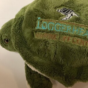Plush Loggerhead Sea Turtle From Loggerhead Marine Center Toys Stuffed ...