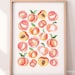 Peach Watercolor Kitchen Art Print: Summer Fruit Poster - Etsy