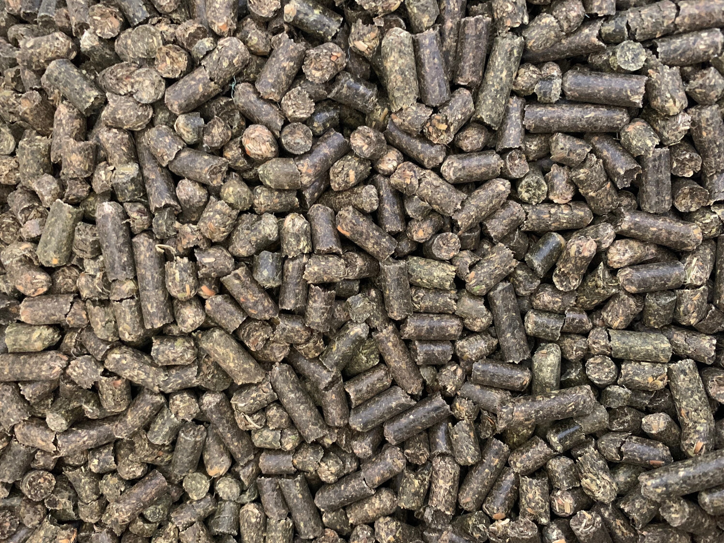 Alfalfa Pellets Animal Feed 10 Lbs Bag - Etsy