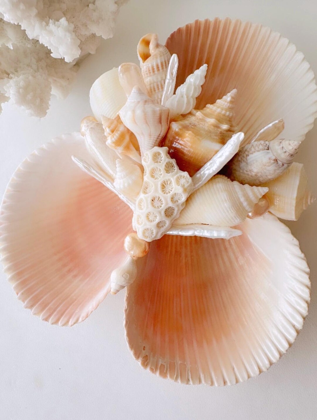 Sanibel Seashells Trinket Dish, Shell Jewelry Holder Dish, Natural ...