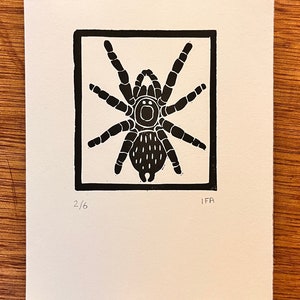 Mini Spider /tarantula Lino Cut Print - Original Handprinted on A6 - Etsy