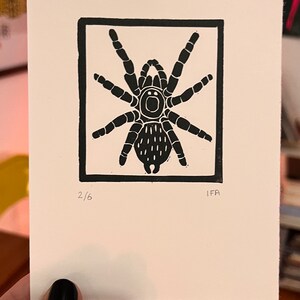 Mini Spider /tarantula Lino Cut Print - Original Handprinted on A6 - Etsy