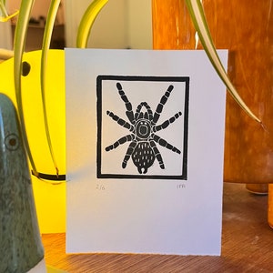 Mini Spider /tarantula Lino Cut Print - Original Handprinted on A6 - Etsy