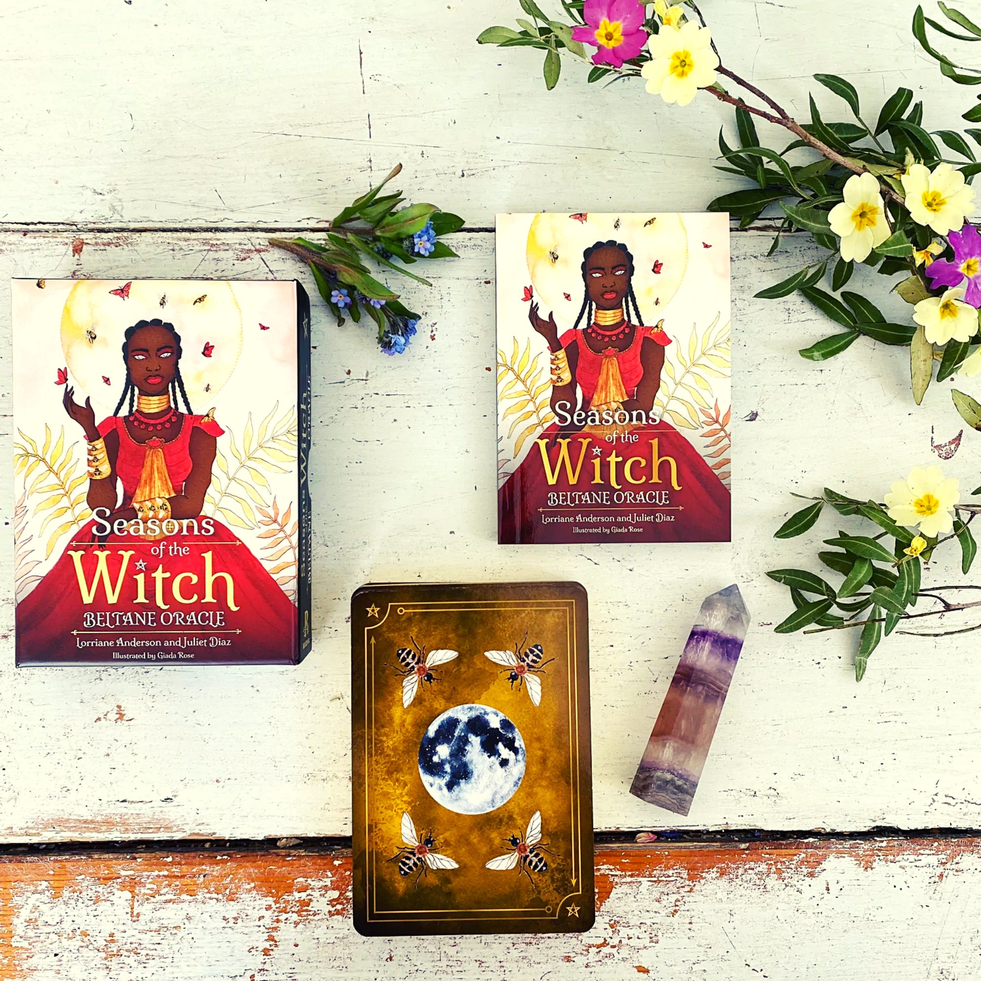 Seasons of the Witch Oracle Cards With Guidebook Samhain, Yule and ...