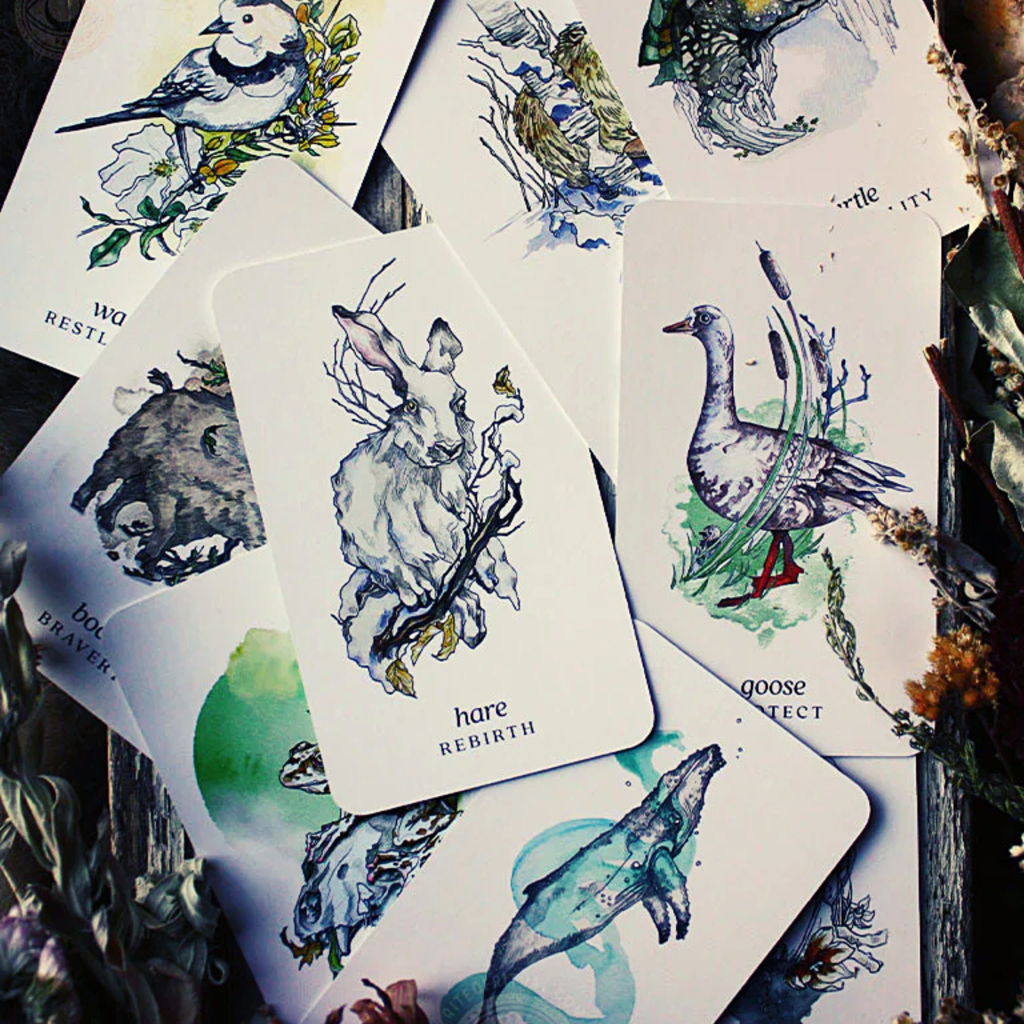 Winterseer Animal Oracle Cards With Guidebooks | Spirit Animals of ...