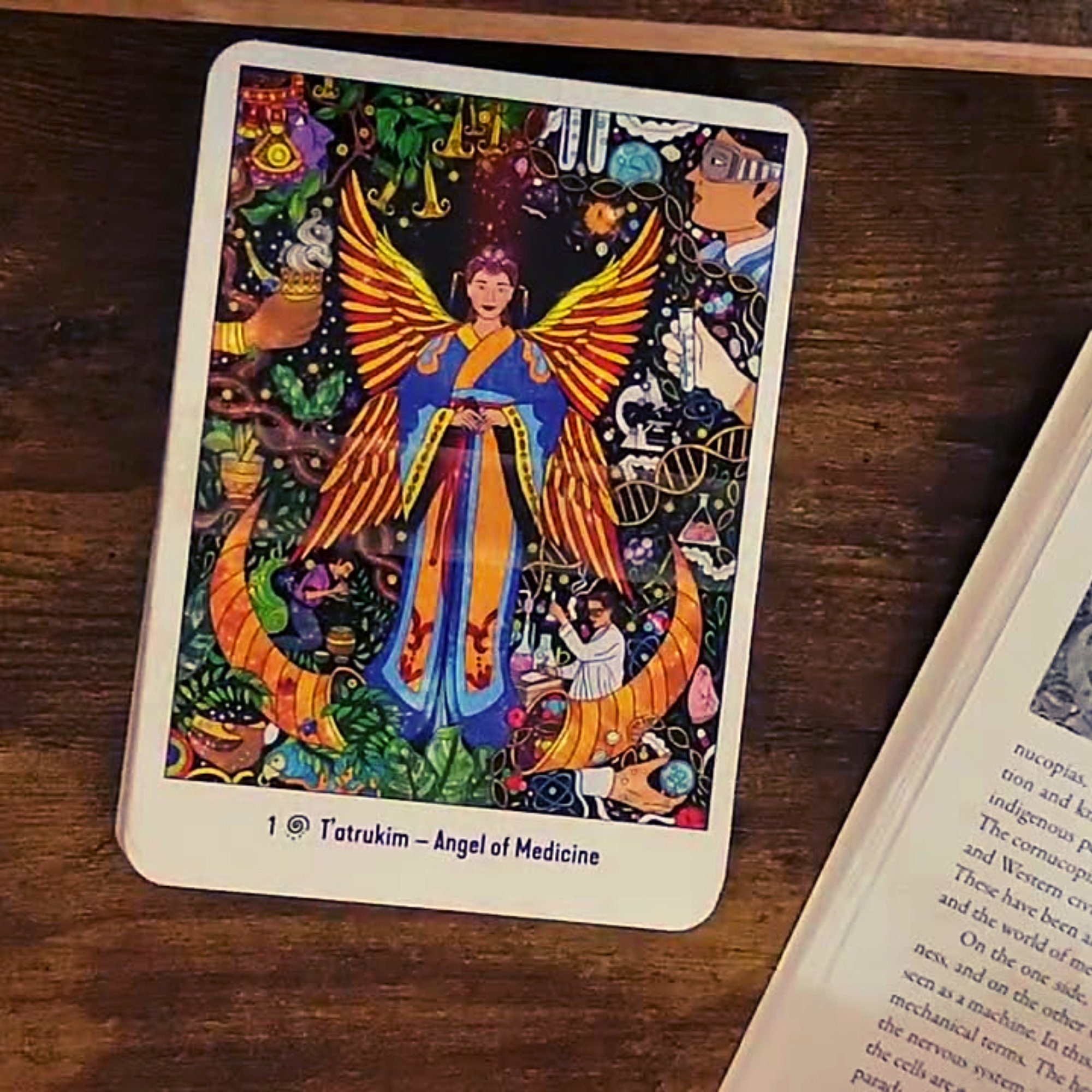 The Amazonian Angel Oracle Cards With Guidebook Working With Angels ...