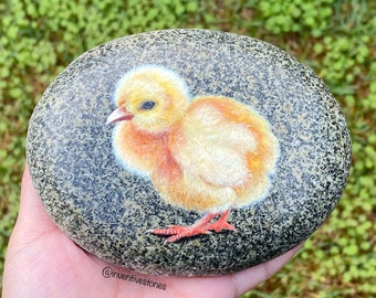 Chicken Hand Painted Rock - Etsy