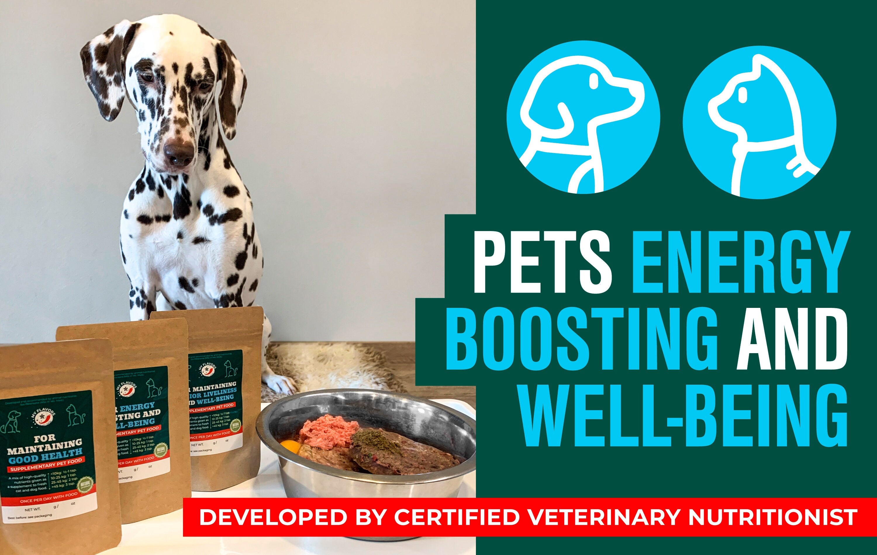 What Herb Will Give My Dog Energy