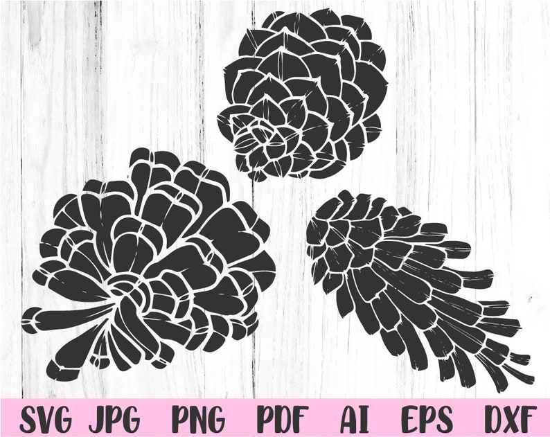 Pine Cone Svg Cone Svg Pine Tree Svg Svg Files for Cricut - Etsy Ireland