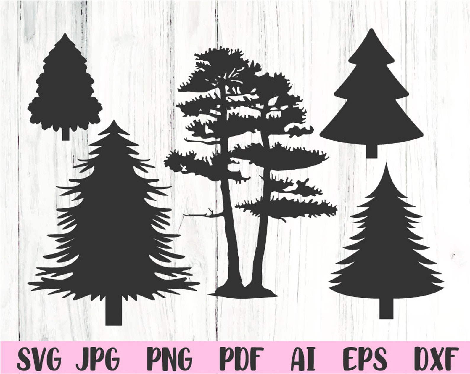 Coniferous Tree Svg Coniferous Svg Tree Svg Svg Files for - Etsy