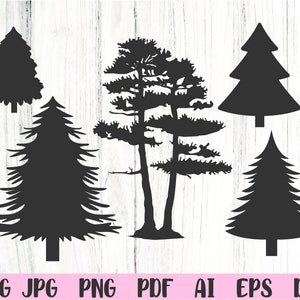Coniferous Tree Svg Coniferous Svg Tree Svg Svg Files for Cricut ...