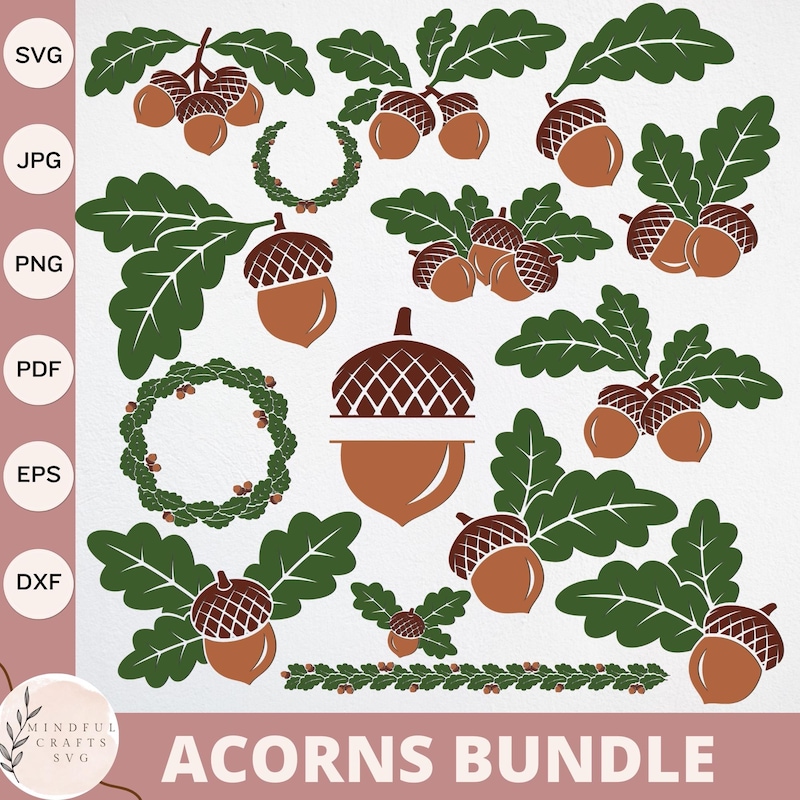 Acorn Clipart - Etsy
