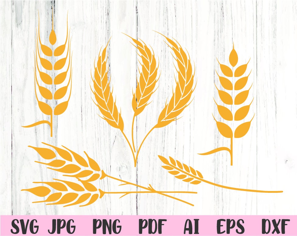 Wheat Svg Grain Svg Wheat Svg Bundle Svg Files for Cricut - Etsy Australia