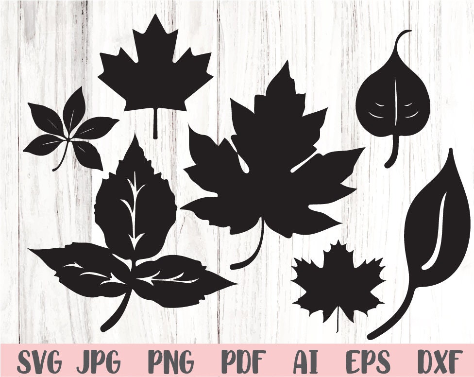 Conjunto de hojas svg hojas paquete svg hojas svg descarga - Etsy México