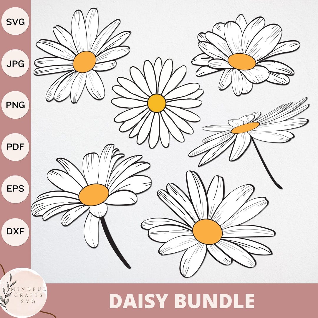 Buy Daisy Bundle SVG Daisy Flower SVG Floral SVG Cut Files Spring ...