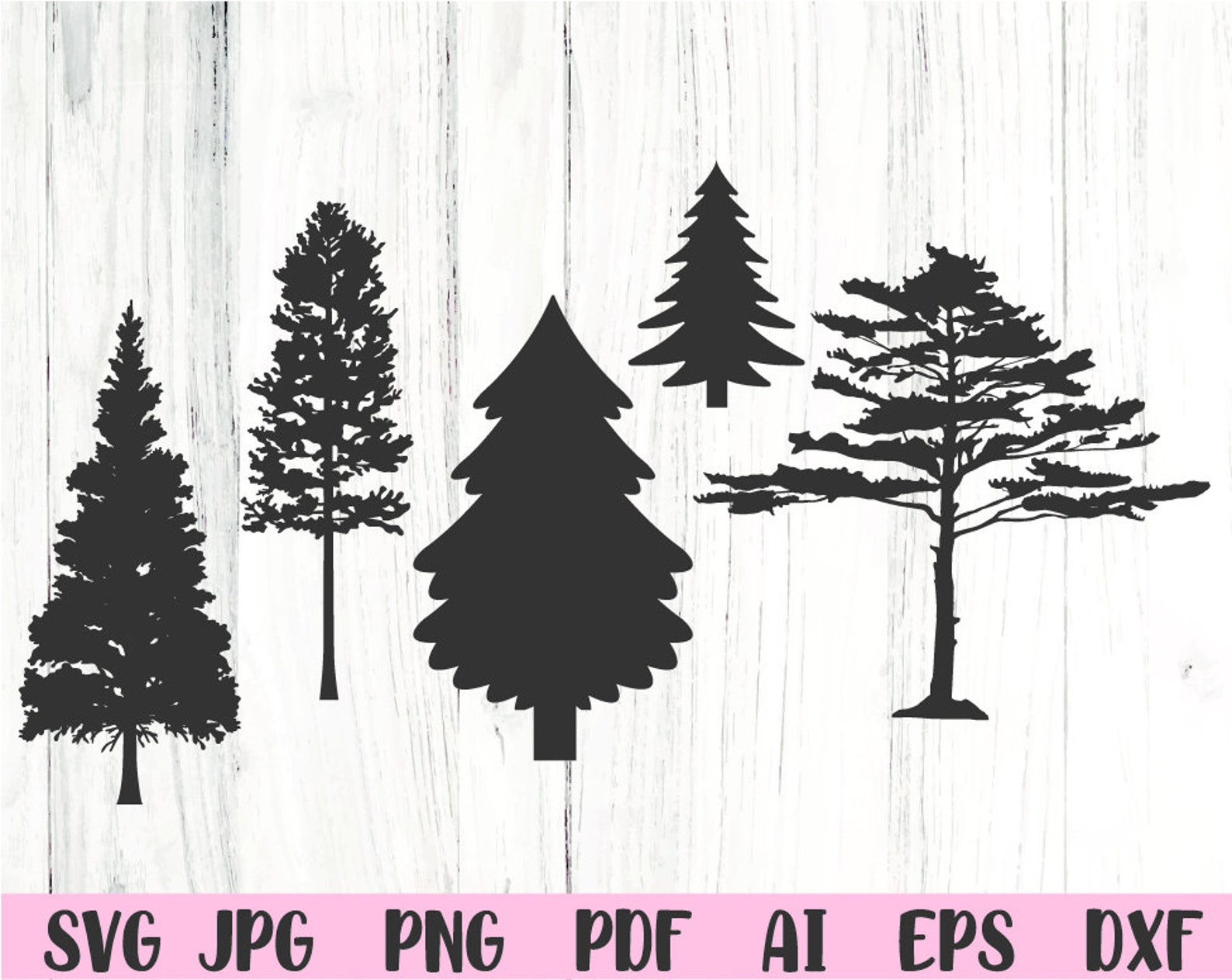 Coniferous Tree Svg Coniferous Svg Tree Svg Svg Files for - Etsy