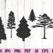 Coniferous Tree Svg Coniferous Svg Tree Svg Svg Files for Cricut ...
