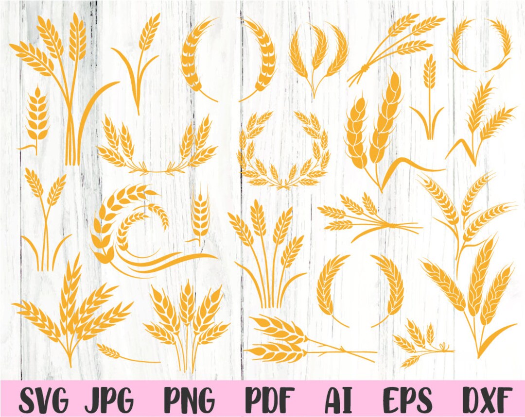 Wheat Svg Grain Svg Wheat Svg Bundle Svg Files For Cricut - Etsy Italia