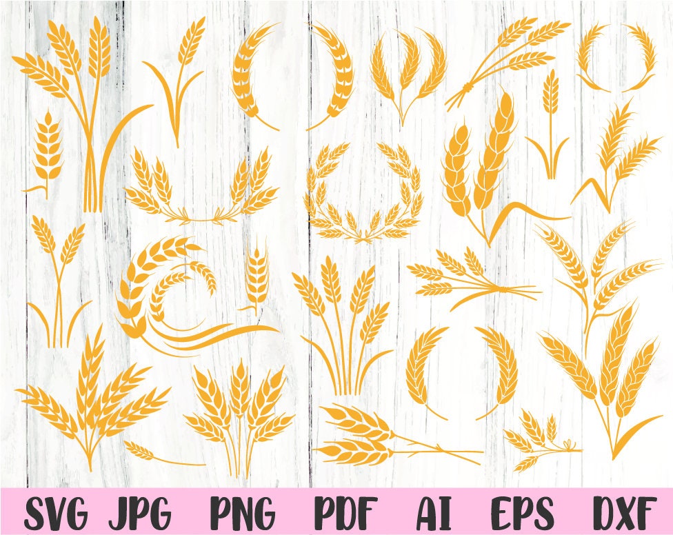 Wheat Svg Grain Svg Wheat Svg Bundle Svg Files for Cricut - Etsy Australia