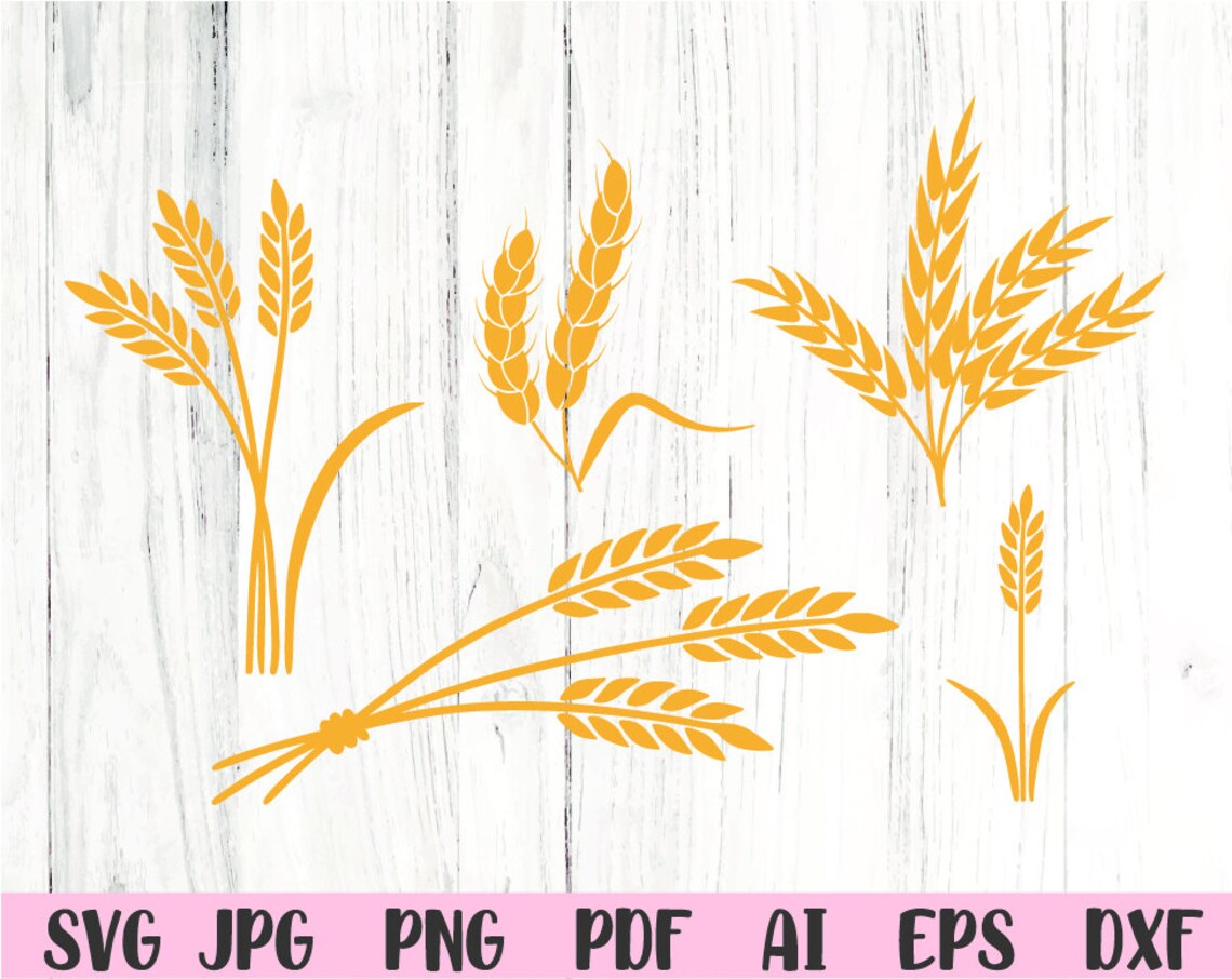 Blé svg grain svg blé svg bundle svg fichiers pour cricut - Etsy France