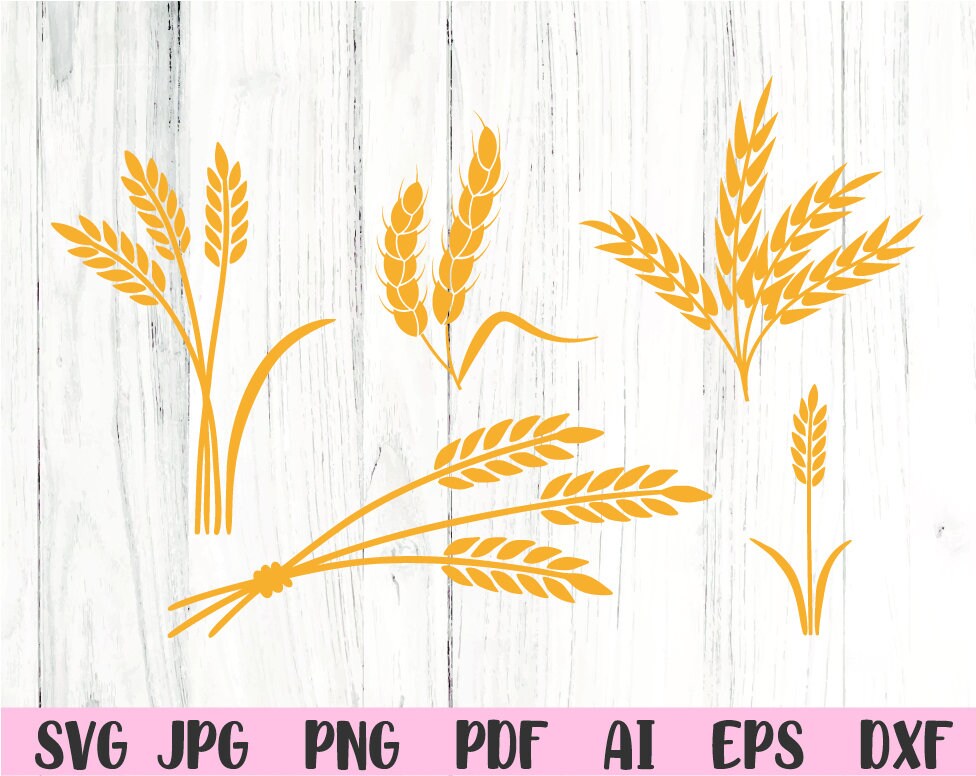 Wheat Svg Grain Svg Wheat Svg Bundle Svg Files for Cricut - Etsy Canada