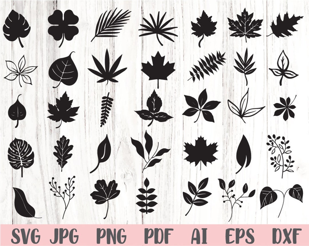 Conjunto de hojas svg hojas paquete svg hojas svg descarga - Etsy México