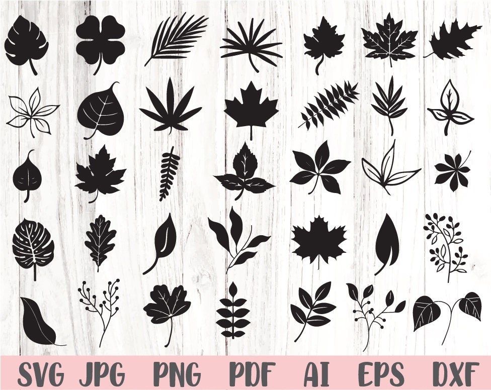 Conjunto de hojas svg hojas paquete svg hojas svg descarga - Etsy México