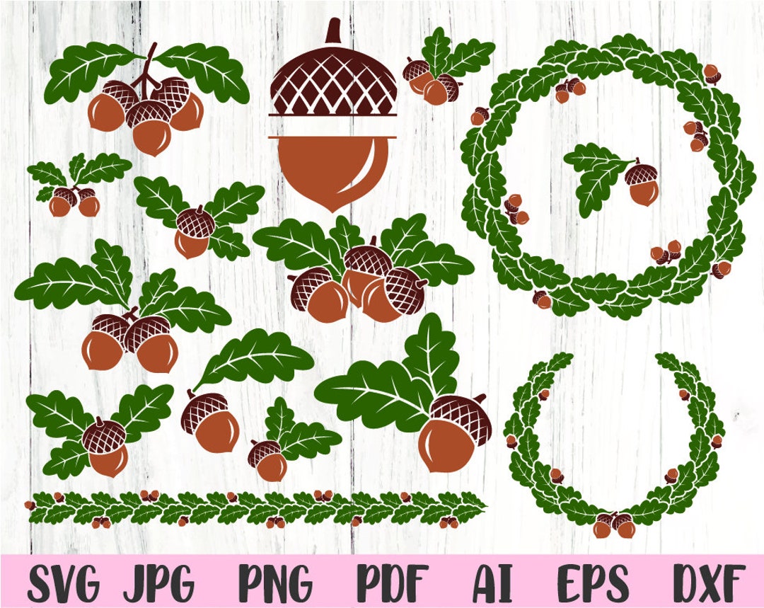 Acorns Svg Autumn Svg Fall Svg Svg Files for Cricut Instant - Etsy