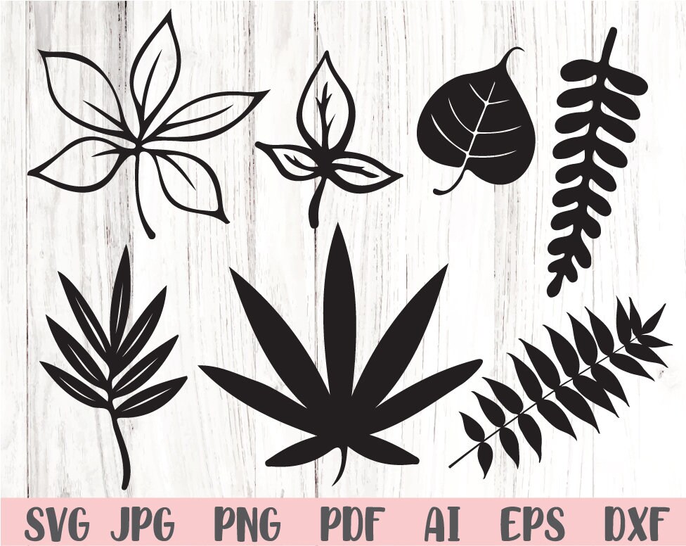 Conjunto de hojas svg hojas paquete svg hojas svg descarga - Etsy México