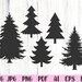 Coniferous Tree Svg Coniferous Svg Tree Svg Svg Files for Cricut ...