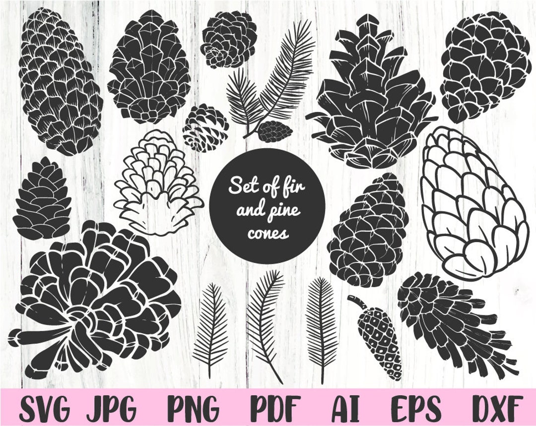 Pine Cone Svg Cone Svg Pine Tree Svg Svg Files for Cricut Instant ...