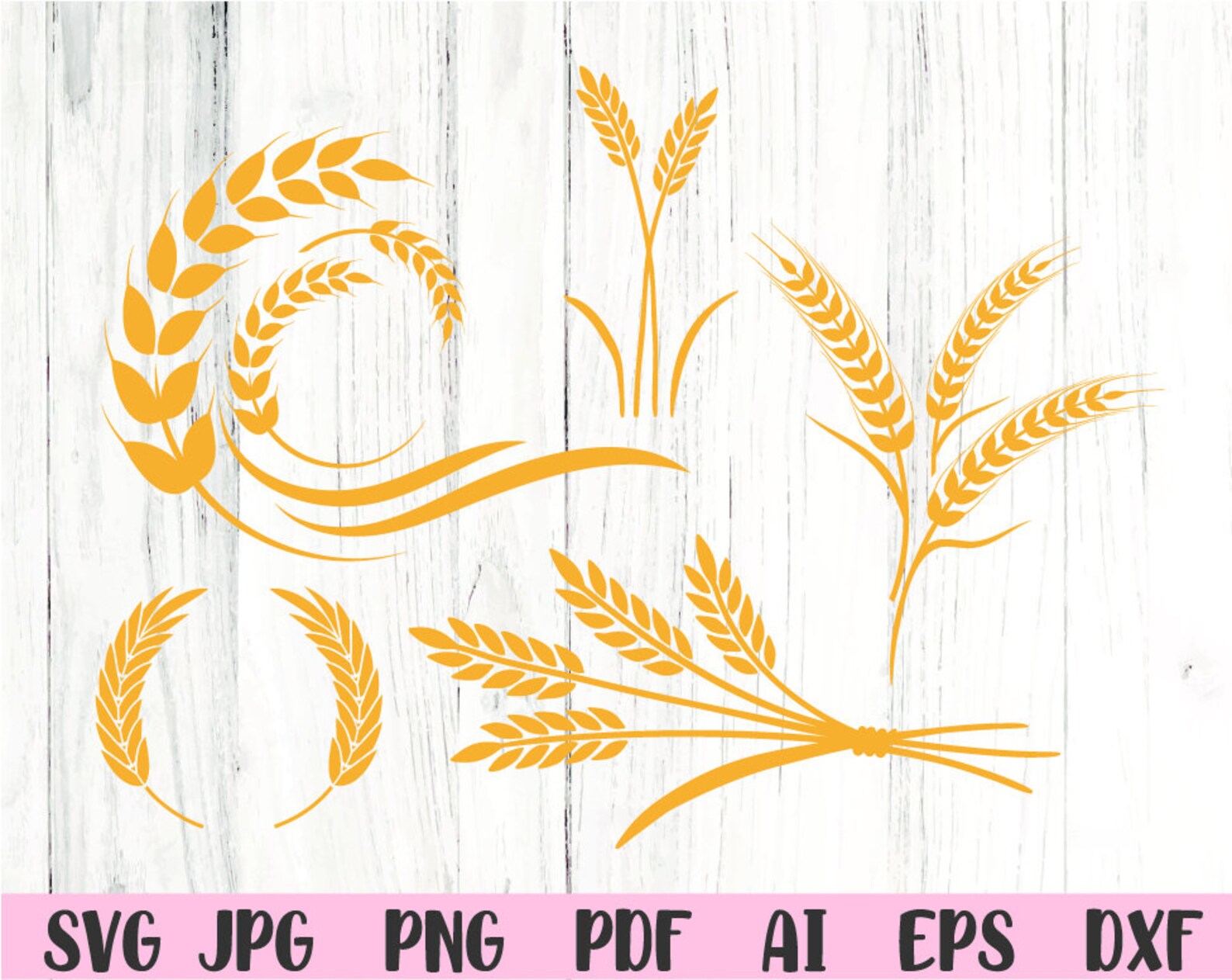 Trigo svg grano svg trigo svg paquete svg archivos para cricut - Etsy ...